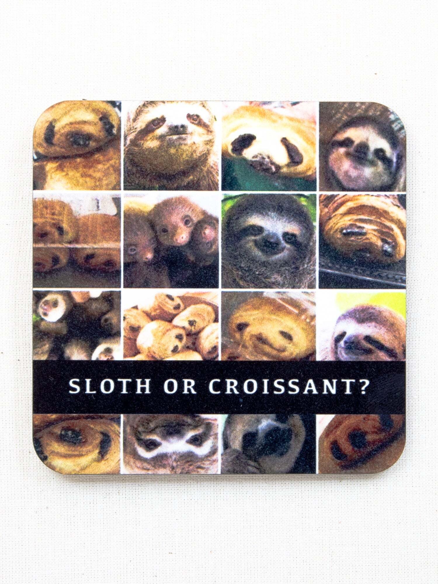 Jim Spinx Coaster - Sloth Or Croissant | Standard Goods